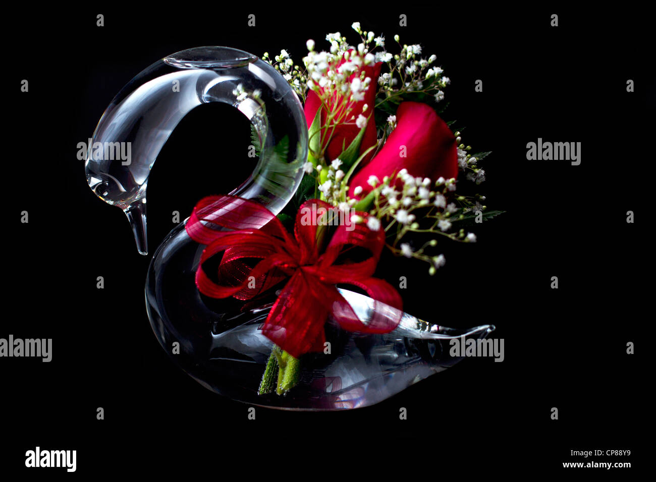 Glass Swan with red roses, small white flowers on black background ...