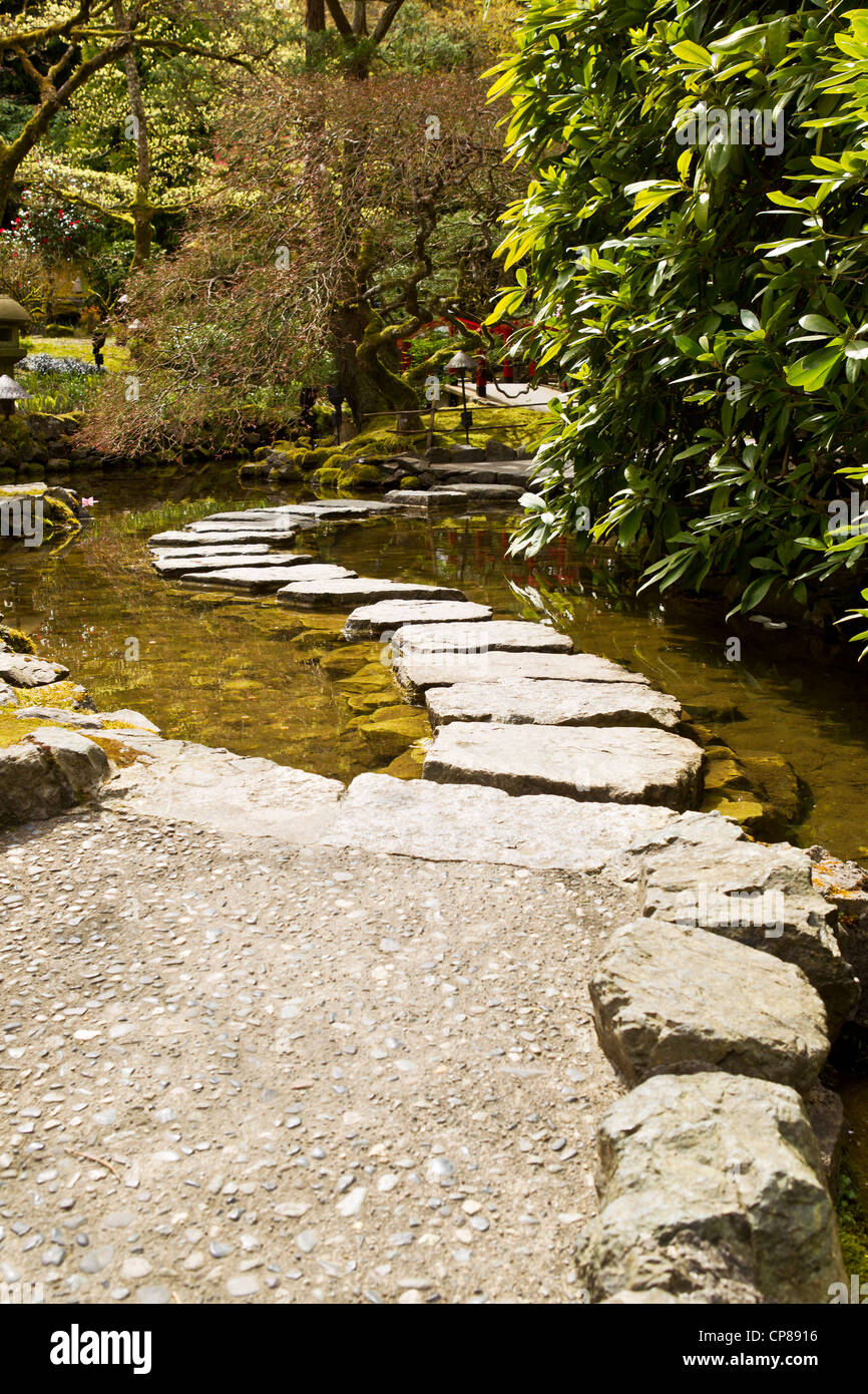 Stepping over water in Japanese Garden Stock Photo - Alamy