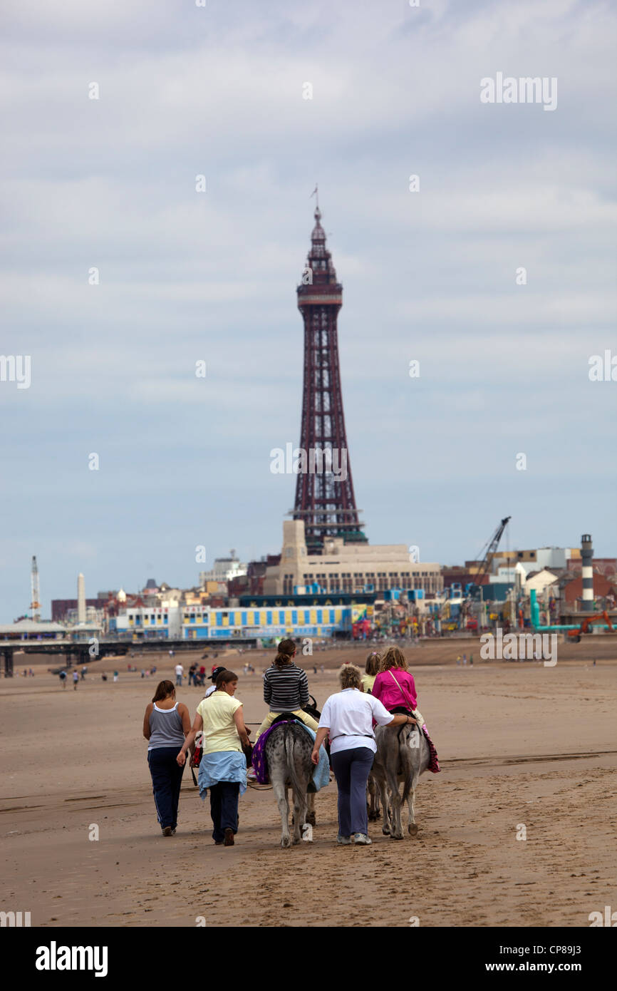 Donkeys rides on the Beach at Blackpool Stock Photo - Alamy