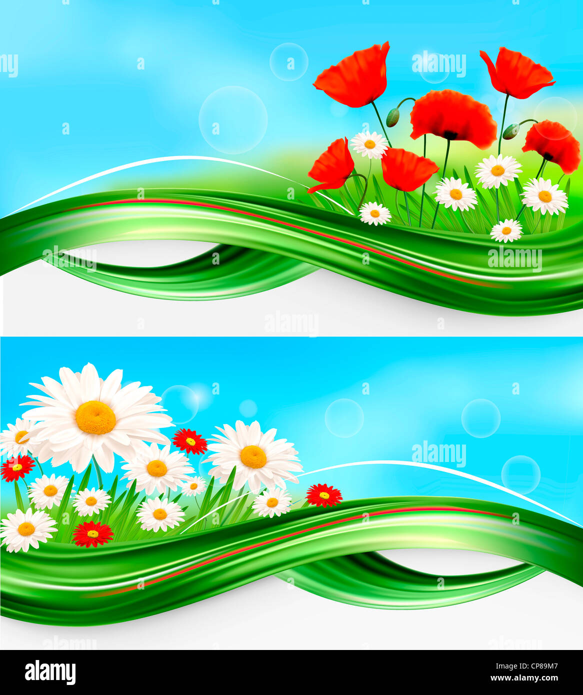 Beautiful banners with daisies and poppies Stock Photo - Alamy