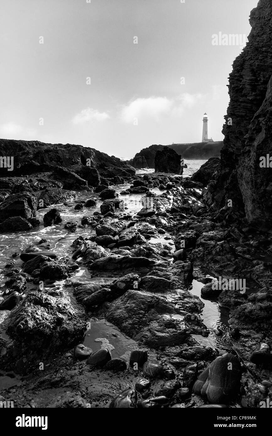 Pigeon Black and White Stock Photos & Images - Alamy