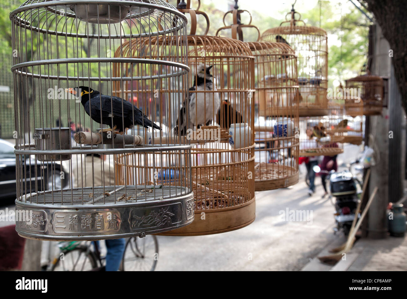 Bird cages in Beijing, China Stock Photo - Alamy