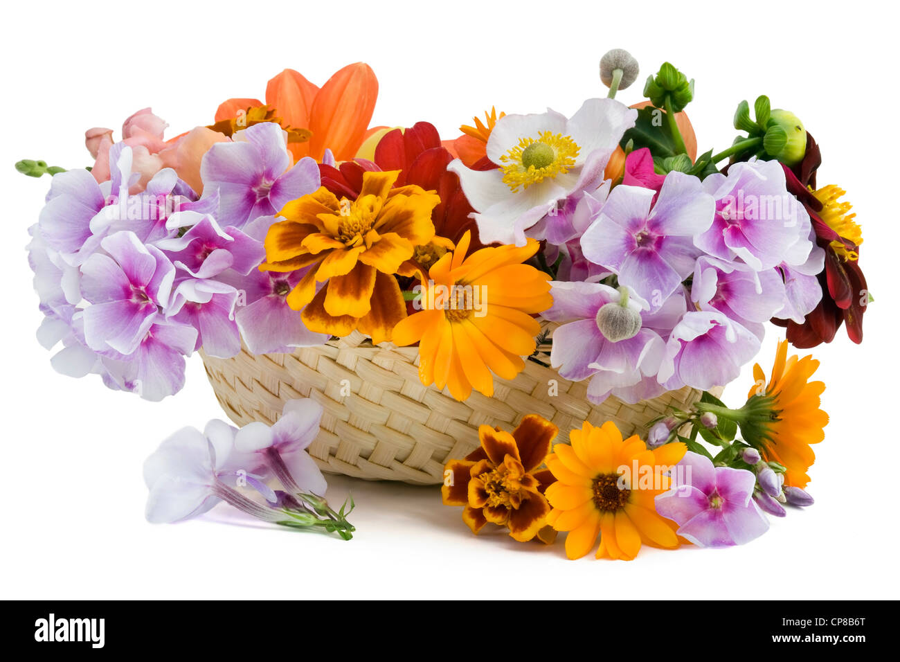 Selective focus red flowers Cut Out Stock Images & Pictures - Alamy