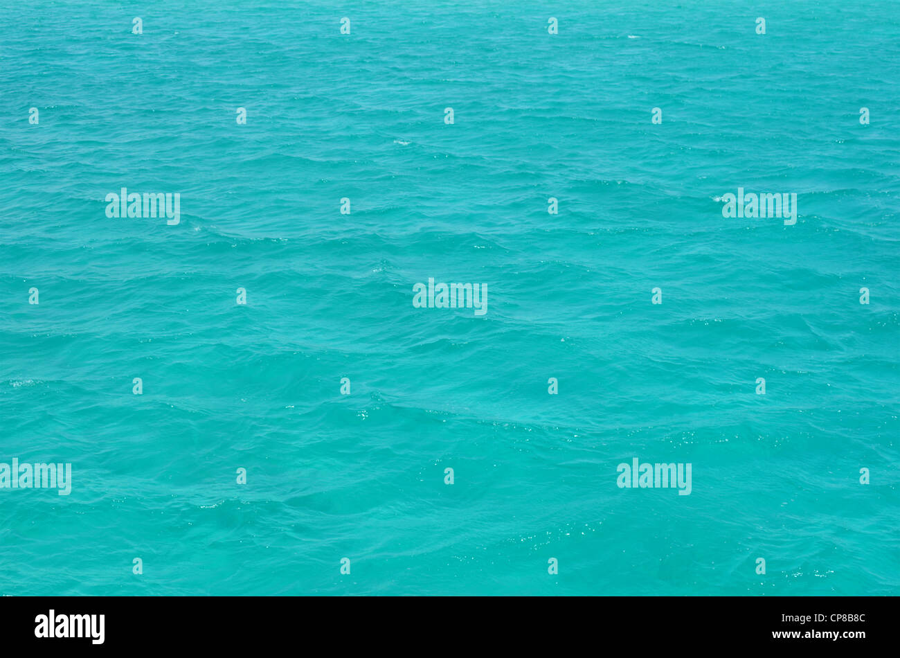 Blue turquoise shallow water of Red Sea, Egypt Stock Photo - Alamy