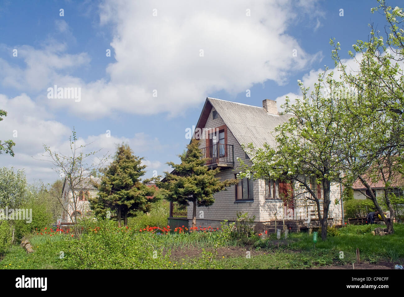 Small brick rural house and the tulips Stock Photo - Alamy