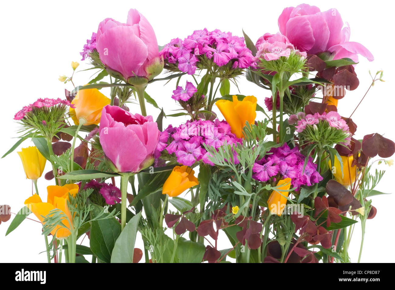 Ugly bouquet from flowers, disharmonious with one another. Isolated on ...