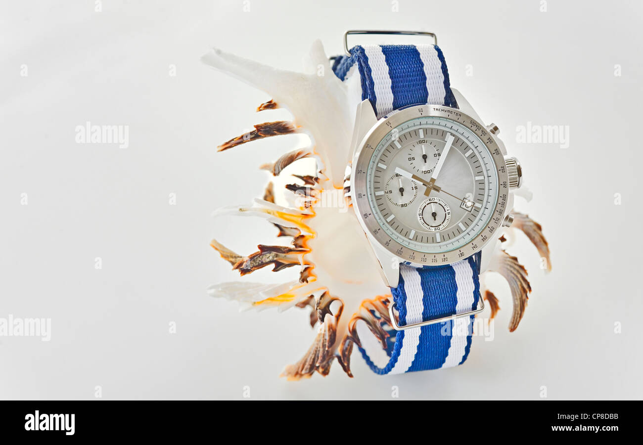 watch and shell Stock Photo - Alamy