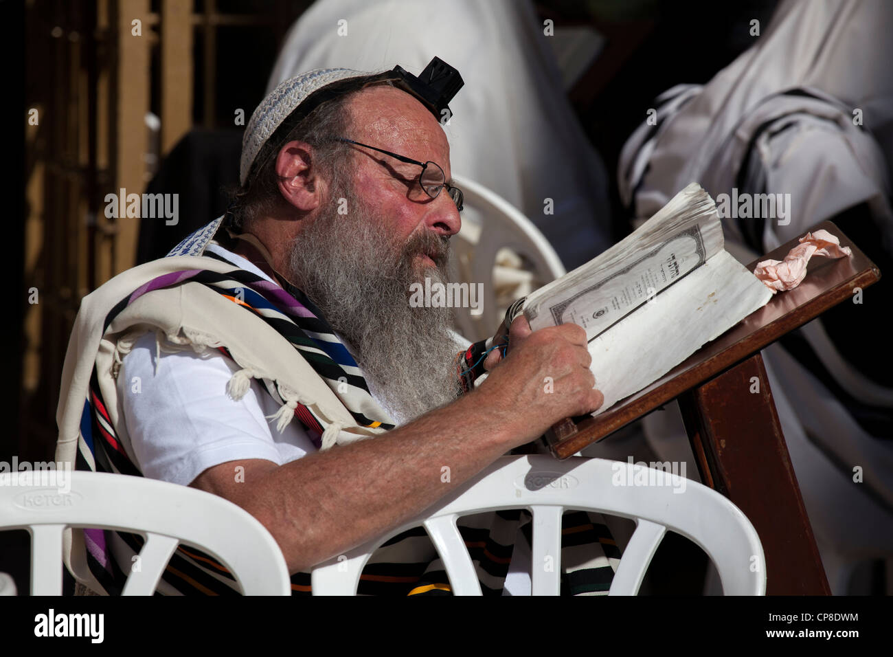 Jewish old man reading torah with tefillin & praying shawl at Wailing ...