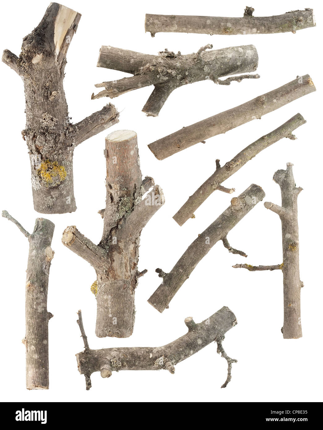 Logs, fire wood set from a apple tree for smoking. Isolated on white ...