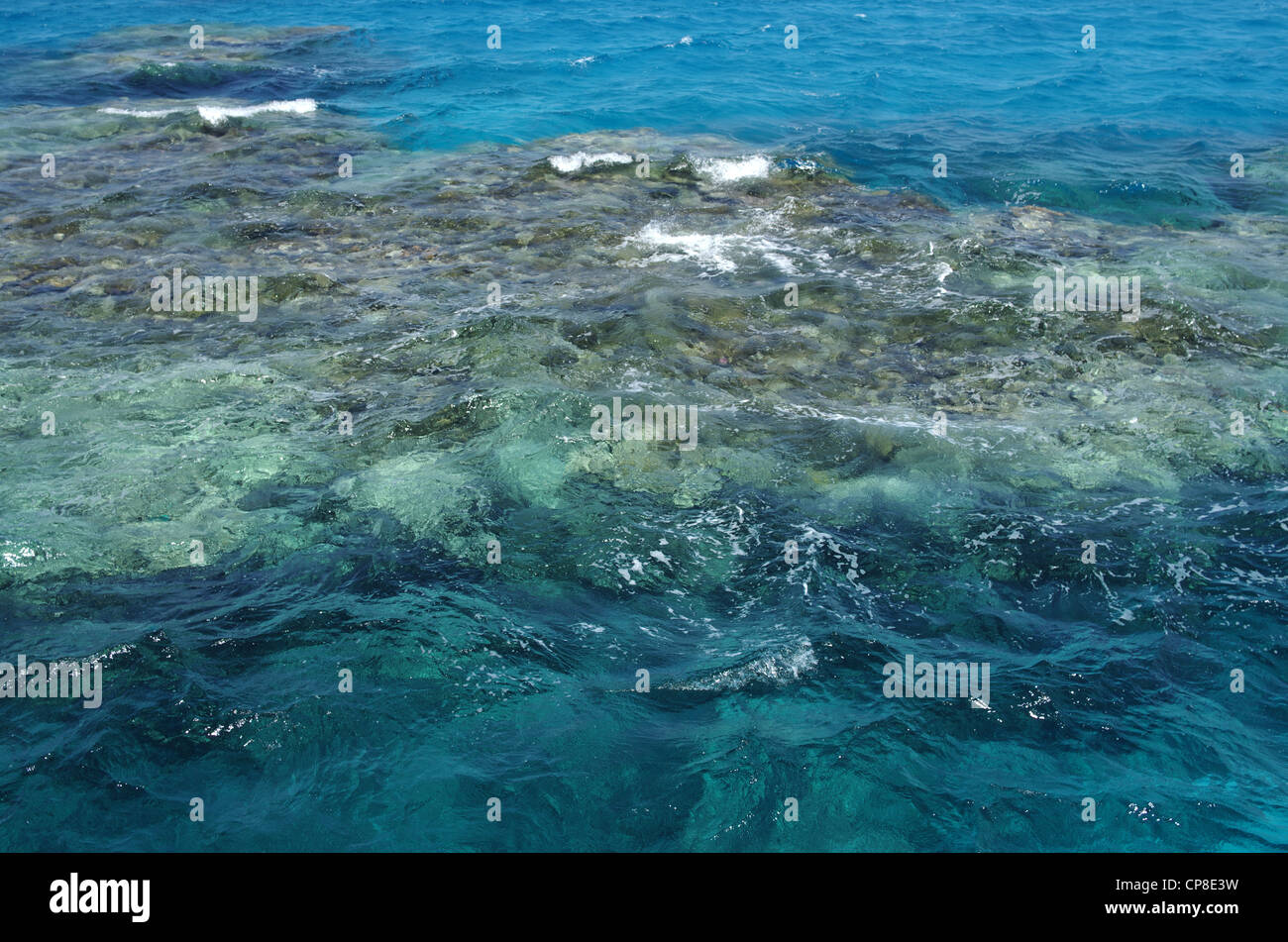 Blue turquoise shallow water of Red Sea, Egypt Stock Photo - Alamy