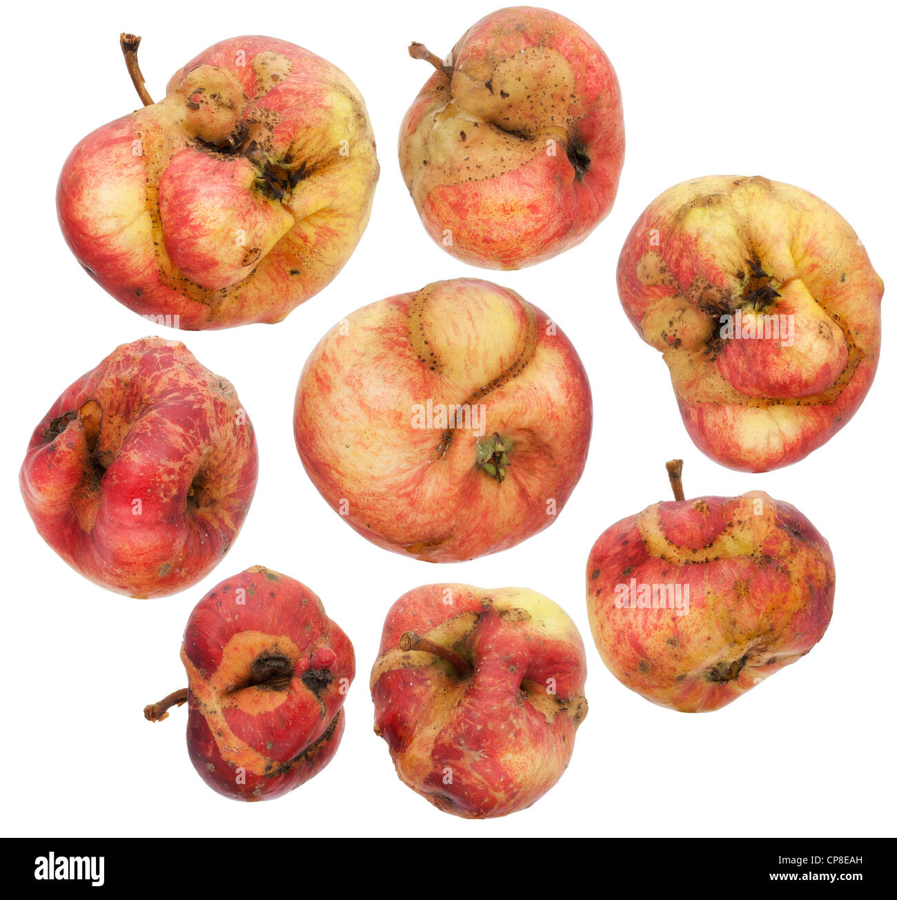 Set, collection of curve, ugly, sick ,unhealthy apples. The decrepitude ...