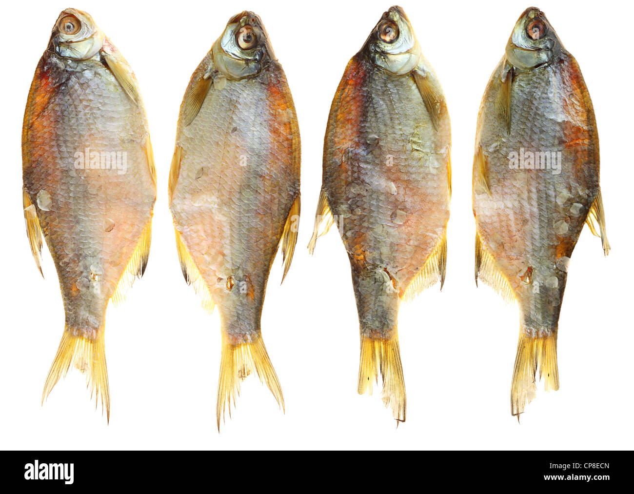 Dead dry salty fish - snack to beer. Isolated on white Stock Photo - Alamy