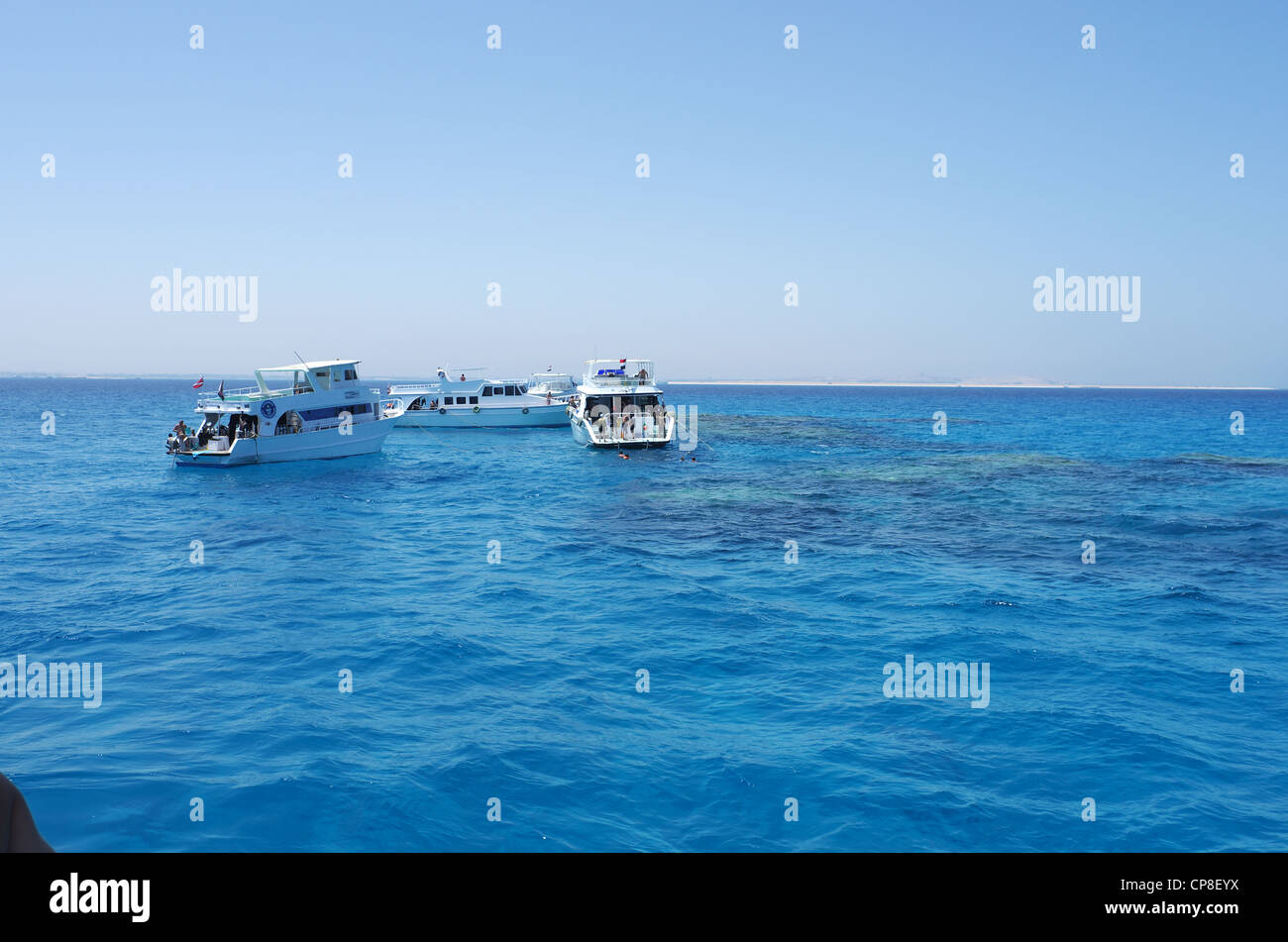 Diving in hurghada hi-res stock photography and images - Alamy