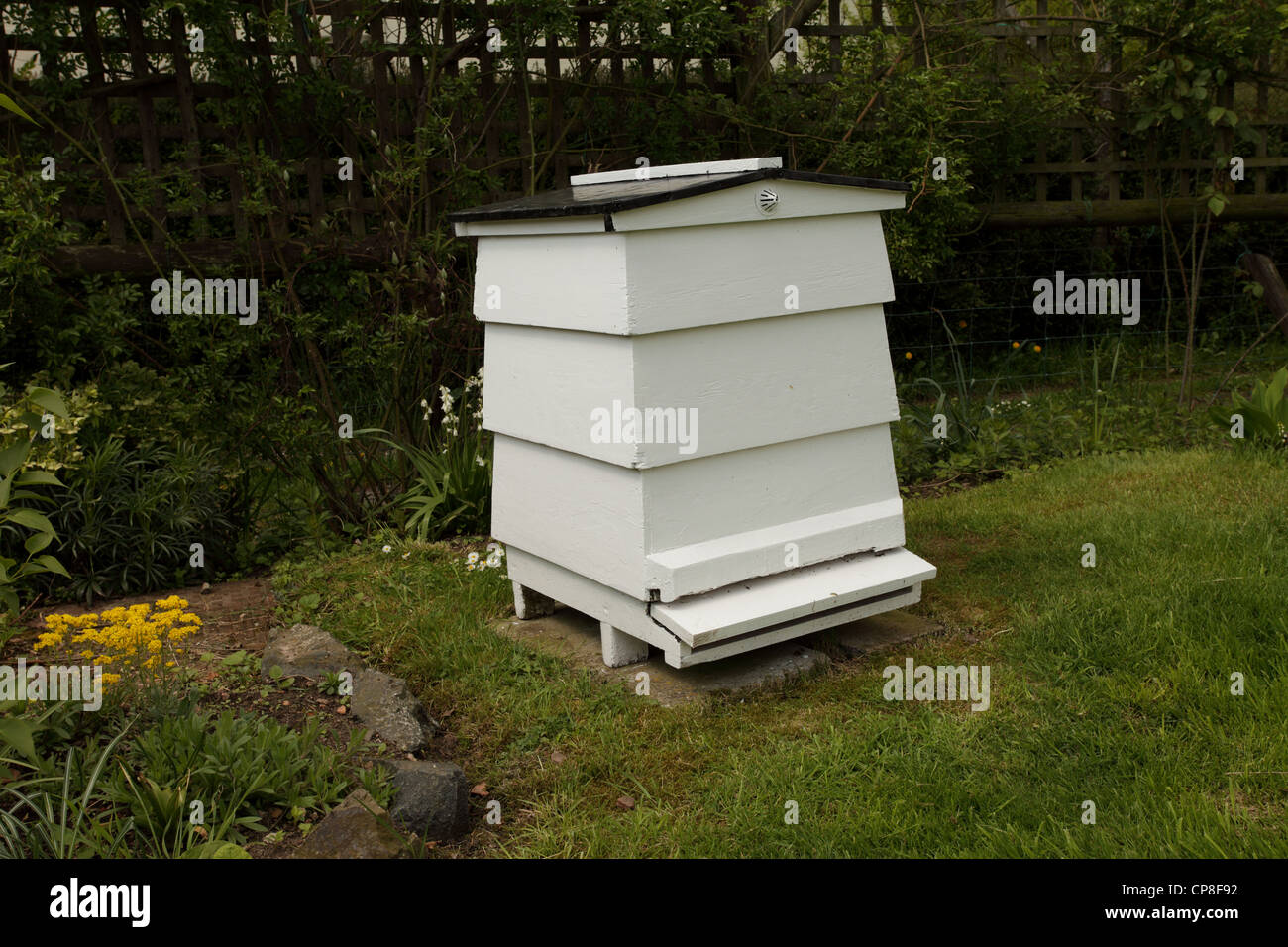Beehive in a back garden England UK Stock Photo - Alamy