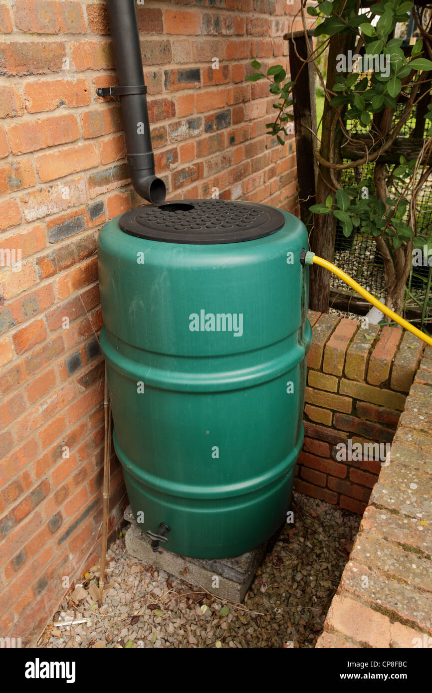 Rainwater butt recycling rain from roof for gardening Stock Photo - Alamy