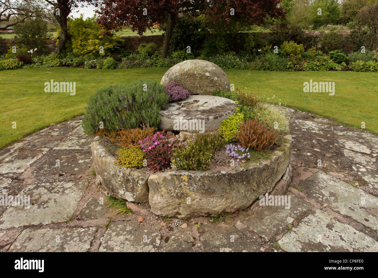 Garden feature in a lawn, England UK Stock Photo - Alamy