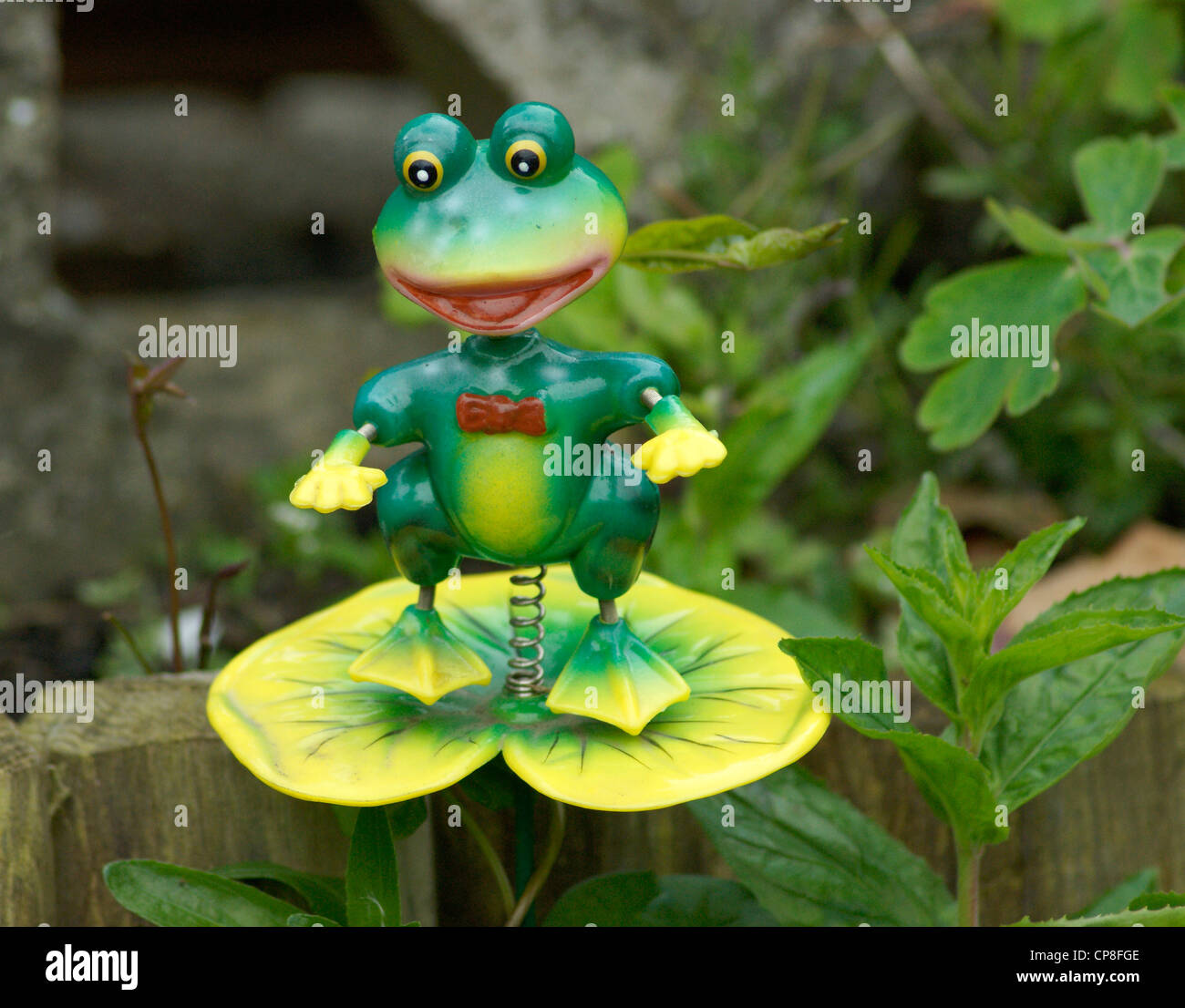 Plastic frogs hi-res stock photography and images - Alamy