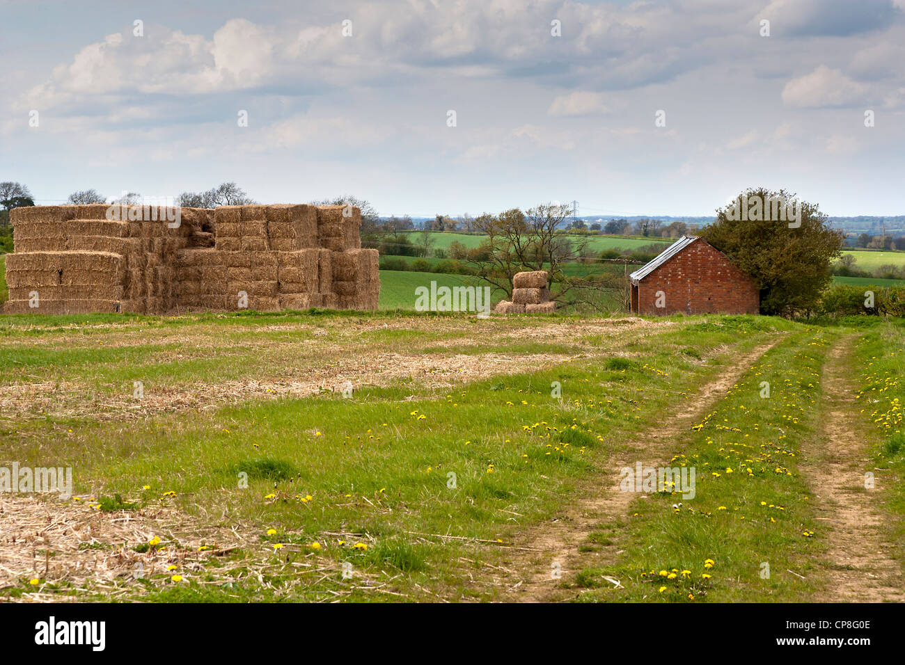 Brick building in a field with a stack Straw Bales Stock Photo - Alamy
