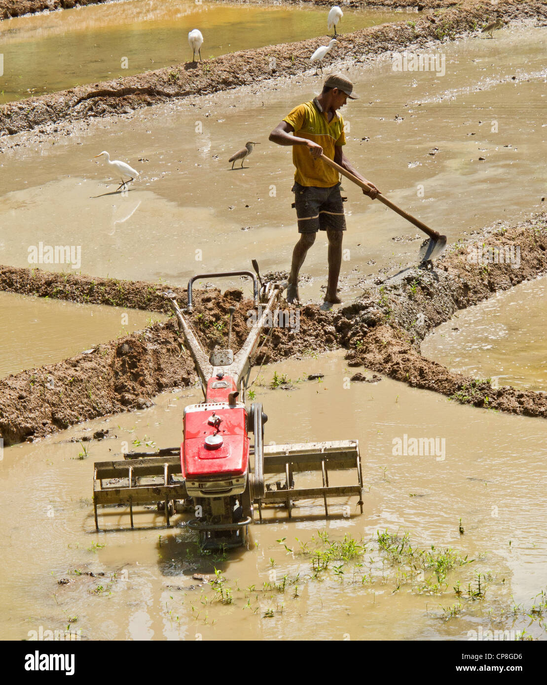 Hoeing field hi-res stock photography and images - Alamy