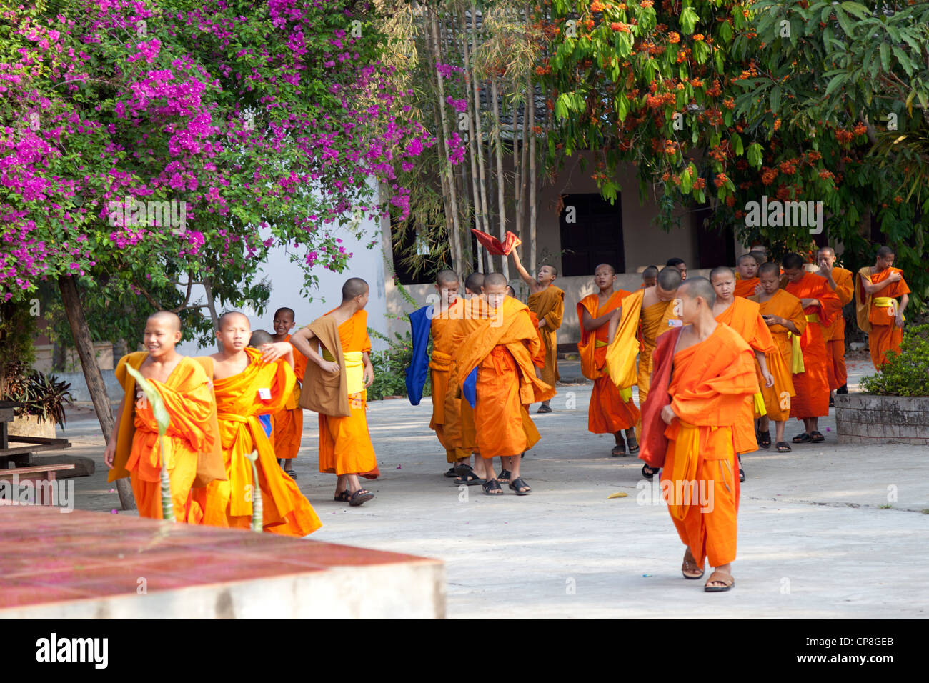 Novice class hi-res stock photography and images - Alamy