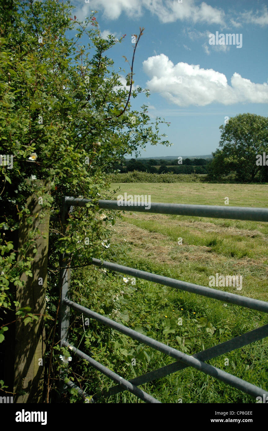 English countryside portrait view hi-res stock photography and images ...