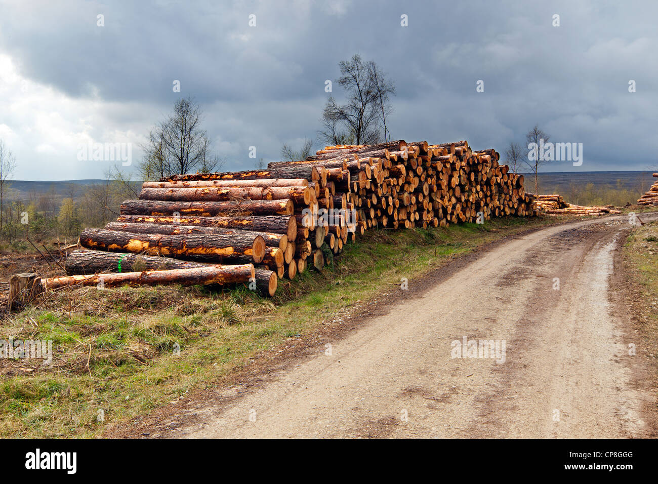 Logging activities in Cropton Forest, North Yorkshire Moors National ...