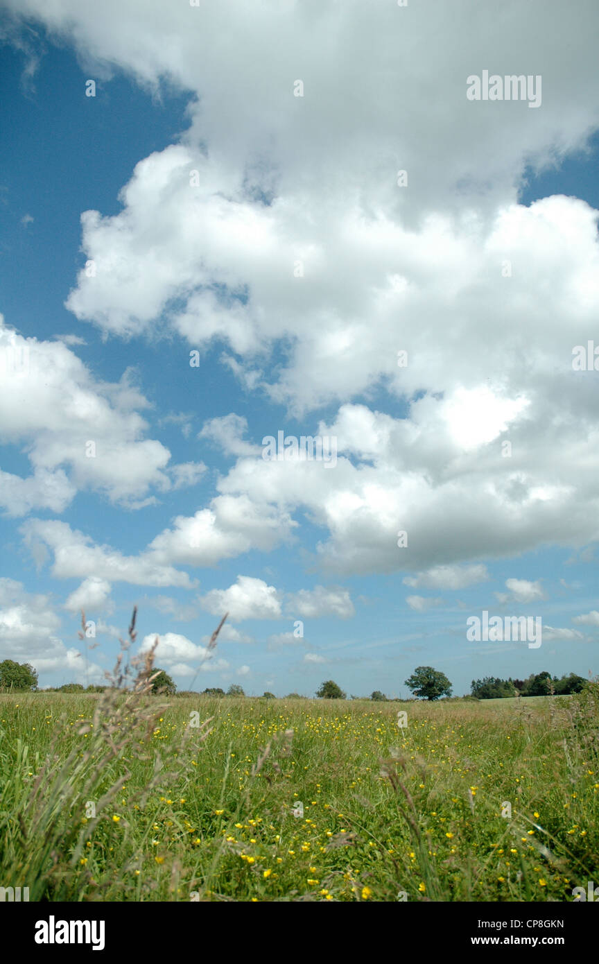 English countryside portrait summer hi-res stock photography and images ...