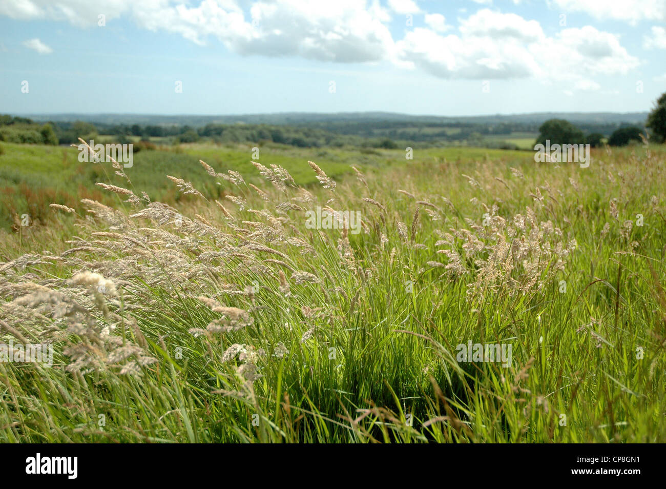 Summers day in the english countryside hi-res stock photography and ...
