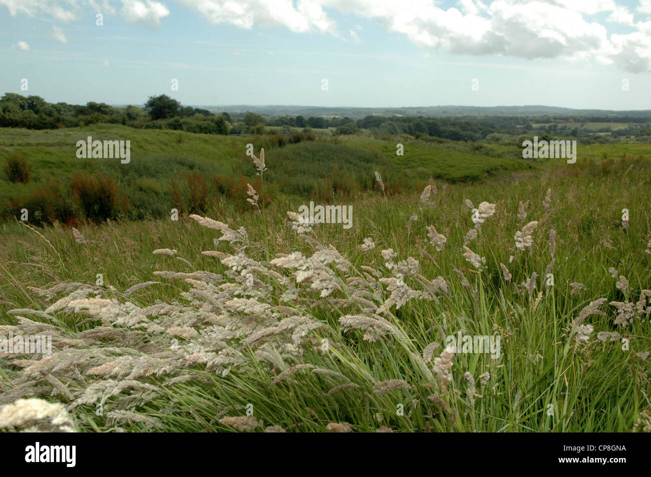 Sussex countryside on a sunny day Stock Photo - Alamy