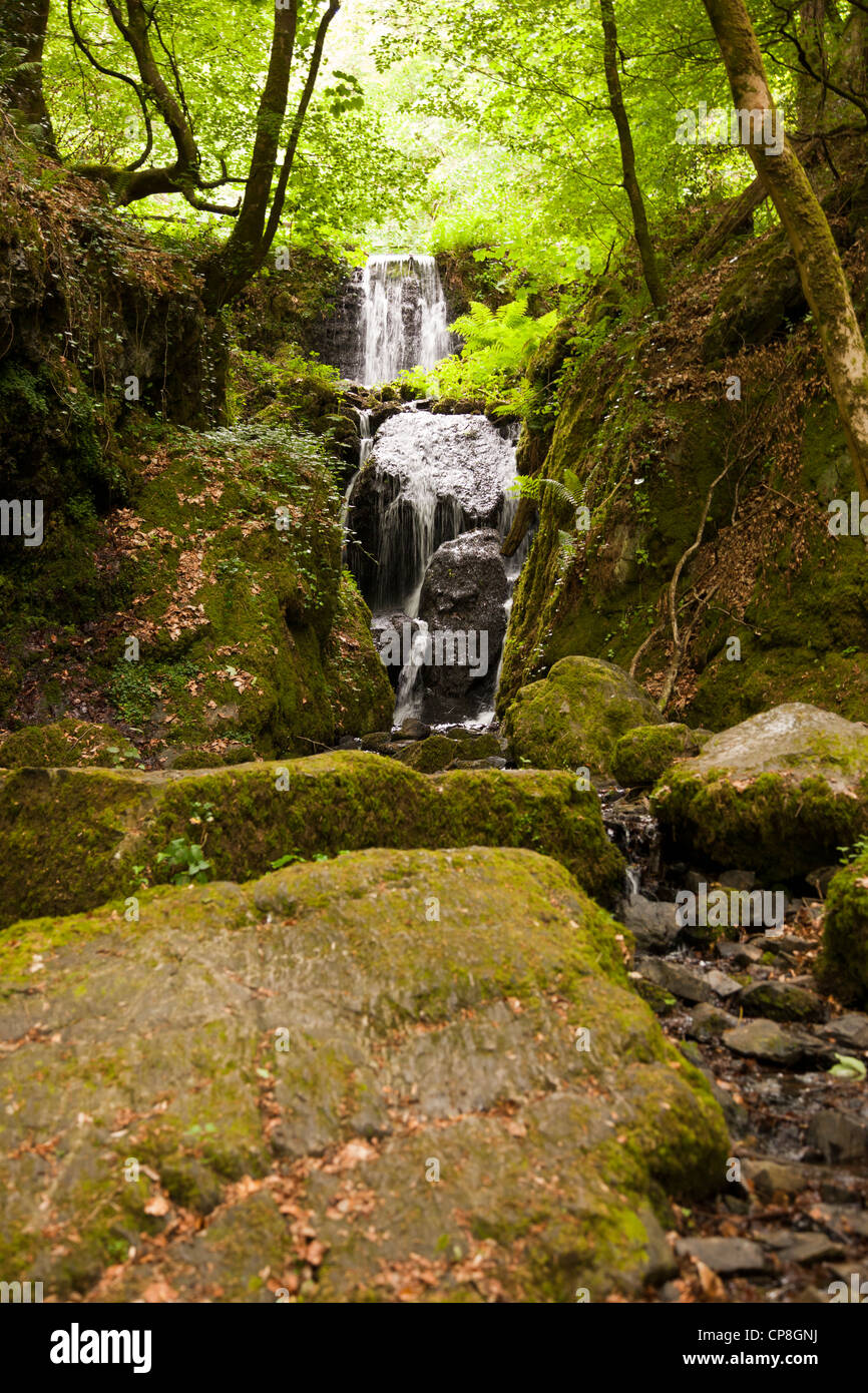 Teign valley, dartmoor national park hi-res stock photography and ...