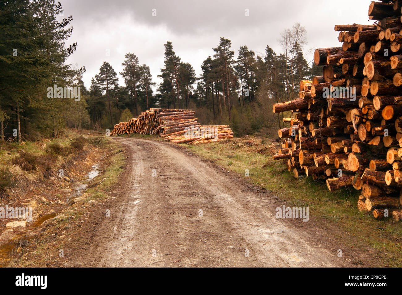 Logging activities in Cropton Forest North Yorkshire Moors National ...