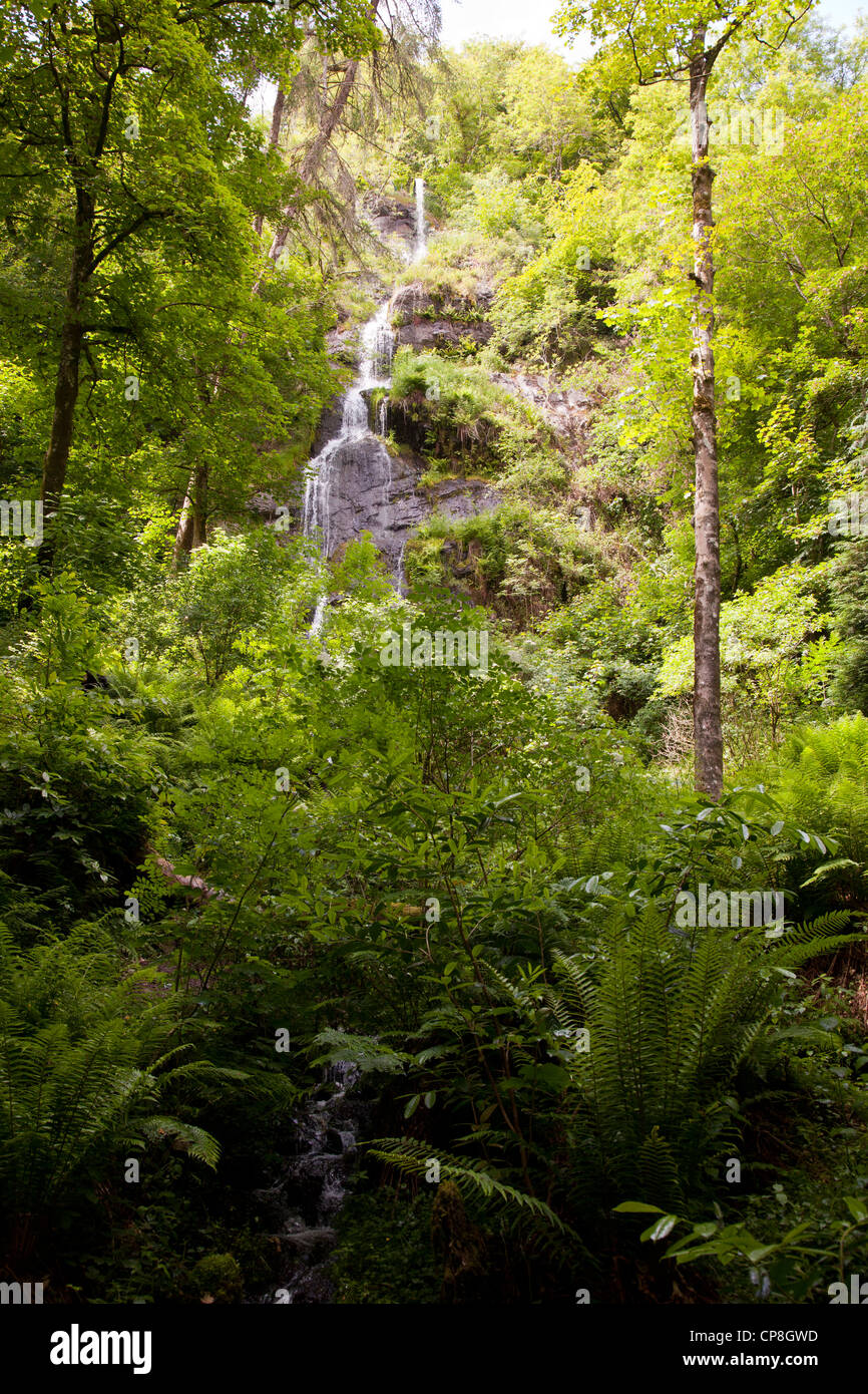 Lush valley hi-res stock photography and images - Alamy