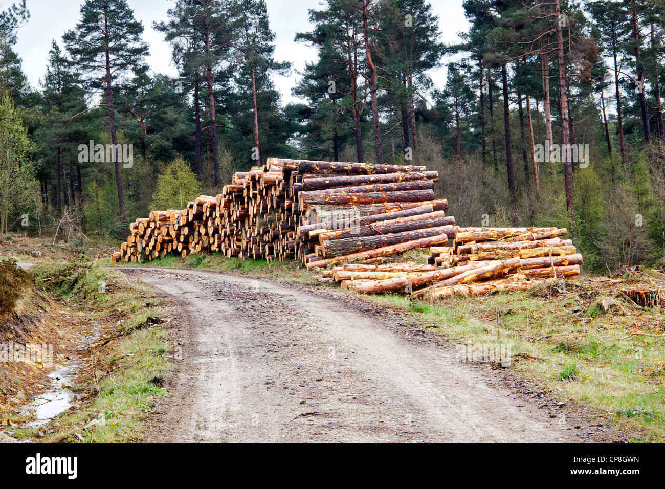 Logging activities in Cropton Forest, North Yorkshire Moors National ...