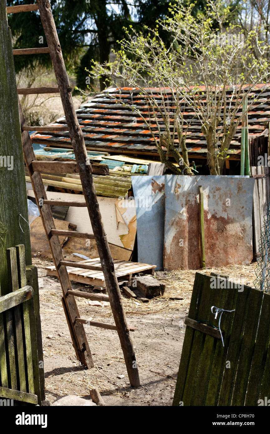 View into a farm backyard with an old wooden ladder leading up into the ...