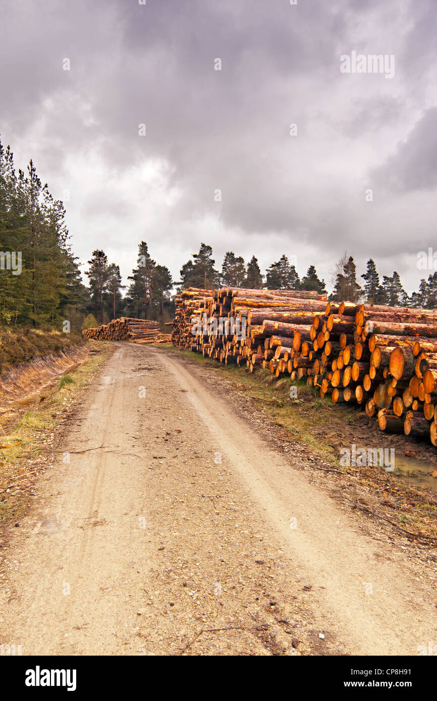 Logging activities in Cropton Forest, North Yorkshire Moors National ...