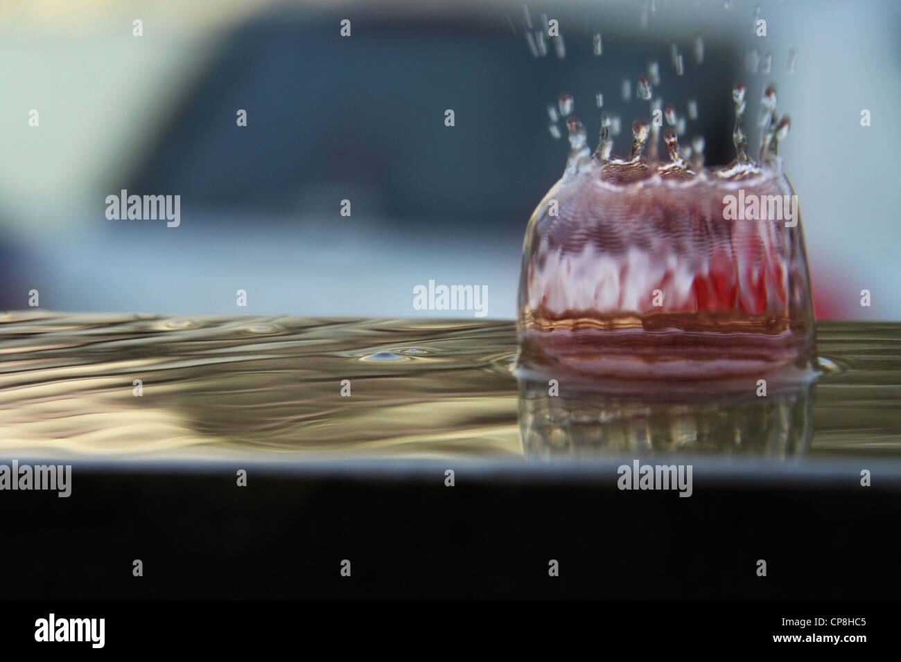 Blood Drop Stock Photos & Blood Drop Stock Images - Alamy