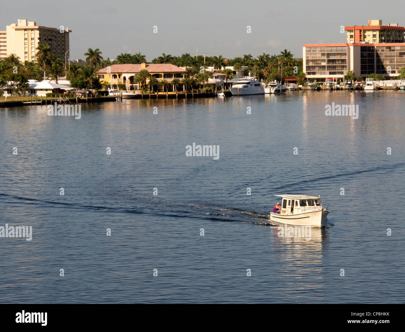 Pompano tropical hi-res stock photography and images - Alamy