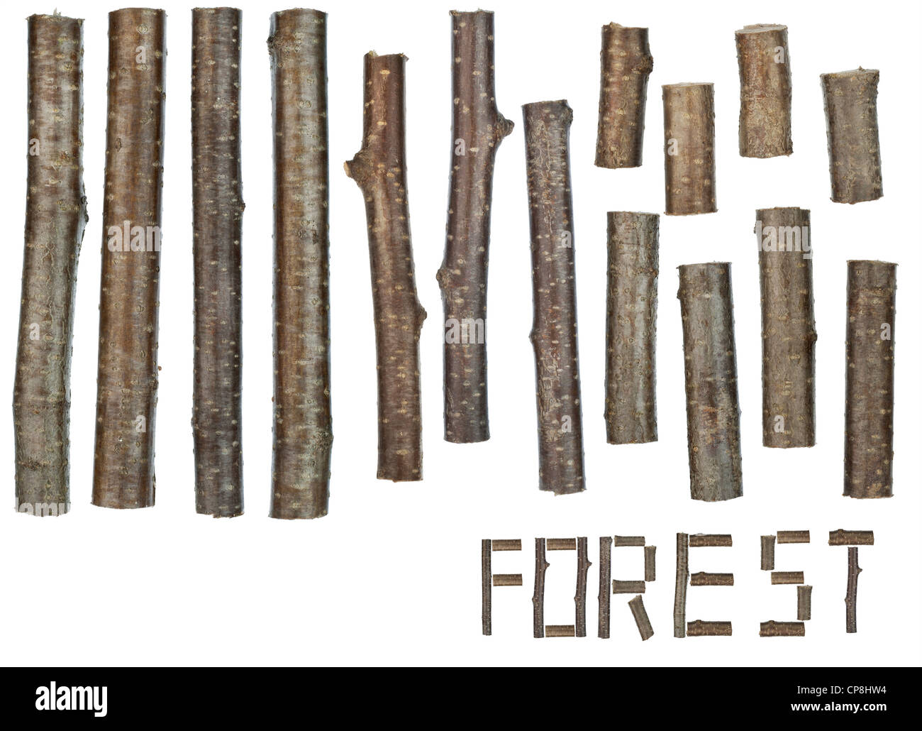 Rectilinear logs and branches set for the wooden alphabet isolated on ...