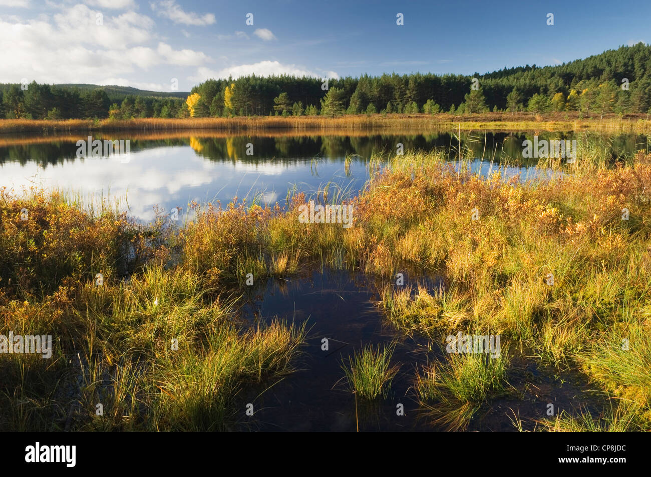 Glen feshie uath lochans cairngorms hi-res stock photography and images ...