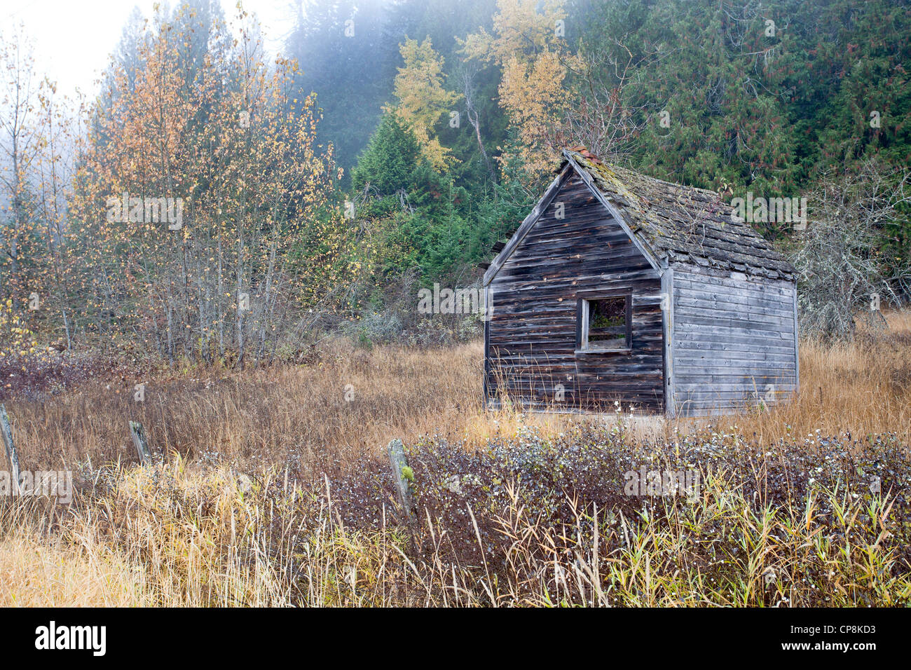 An old weathered shed Stock Photo - Alamy