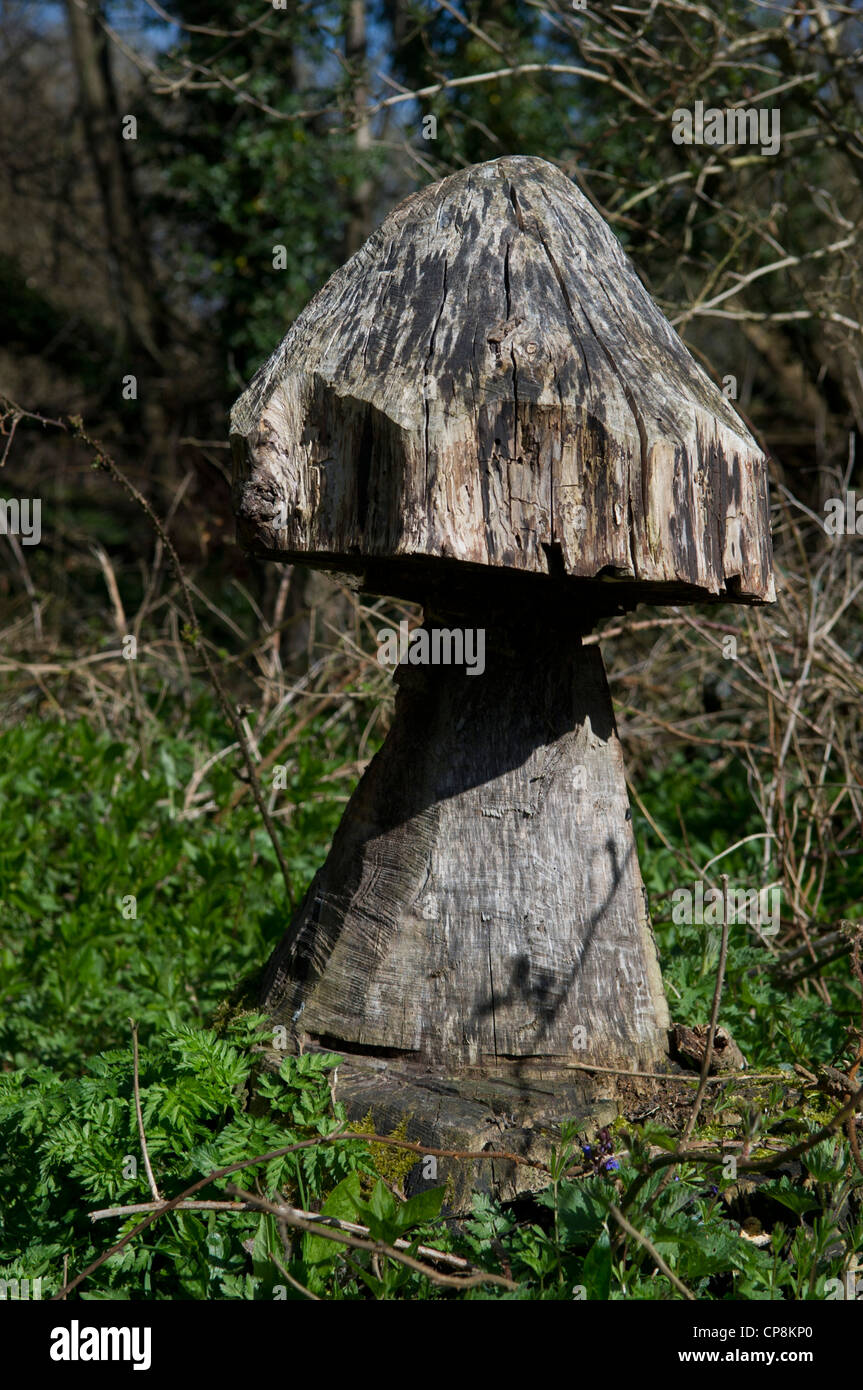 nature trail wooden art work Stock Photo - Alamy
