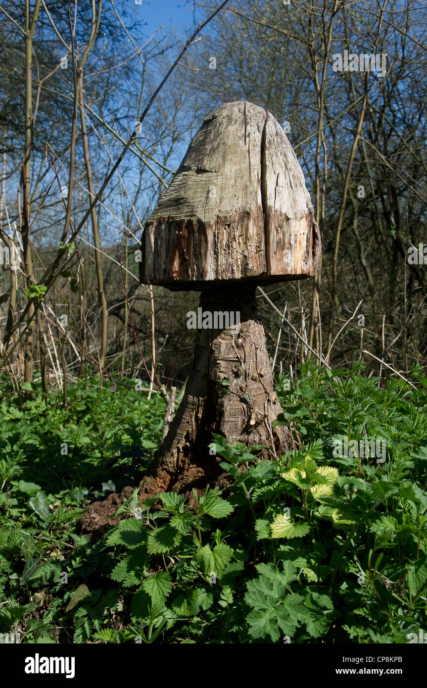 nature trail wooden art work Stock Photo - Alamy