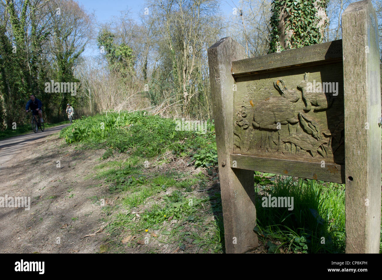 nature trail wooden art work Stock Photo - Alamy