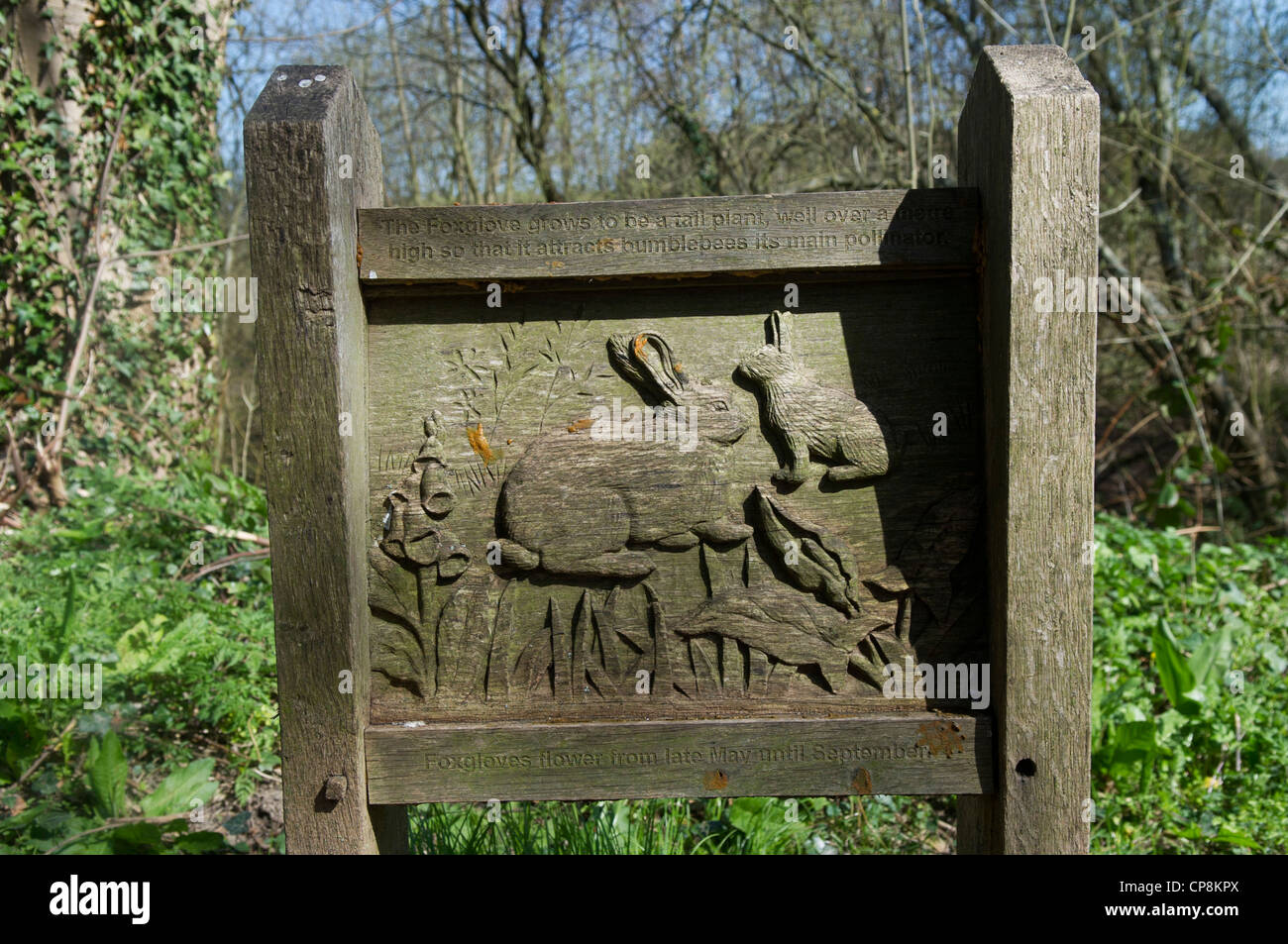nature trail wooden art work Stock Photo - Alamy