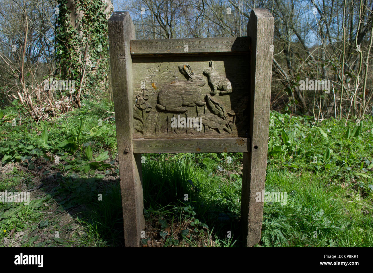 nature trail wooden art work Stock Photo - Alamy