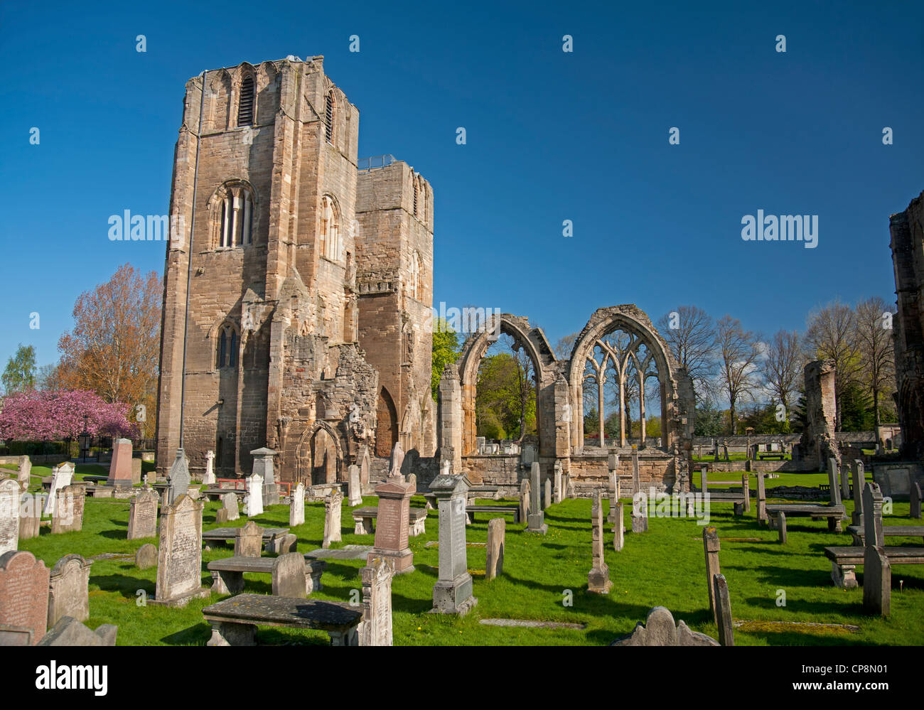 Elgin Cathedral, Moray, Grampian Region. Scotland. SCO 8218 Stock Photo ...