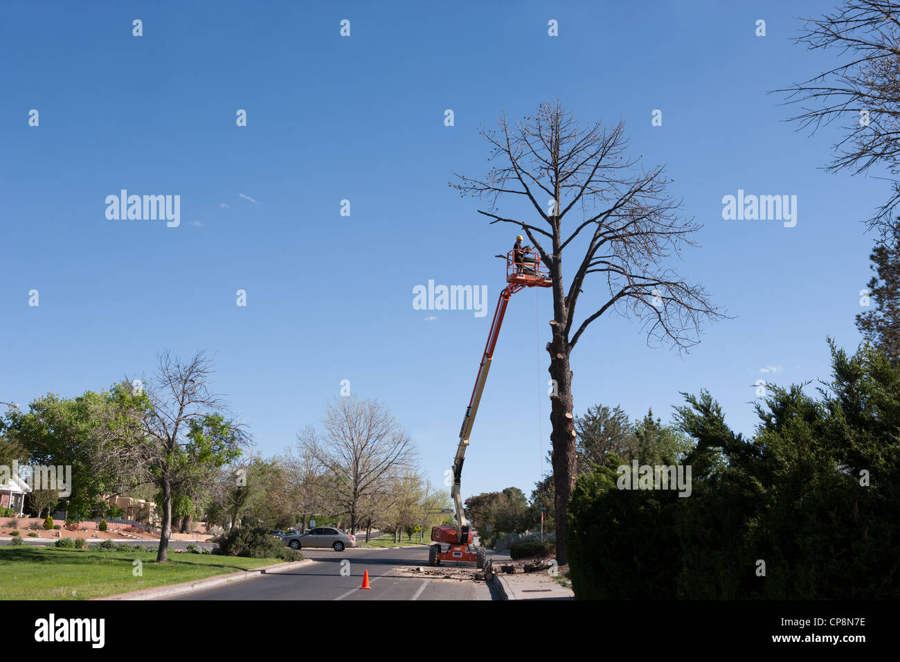 A person cutting a tree on a genie bucket lift using chainsaw on a ...