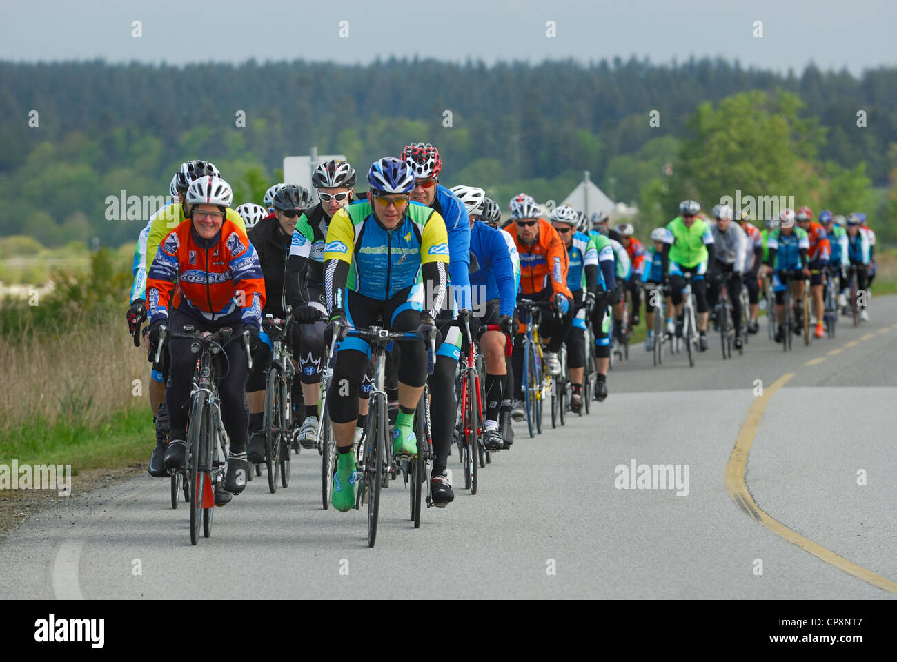 Large group of cyclists riding down a roadway Stock Photo - Alamy