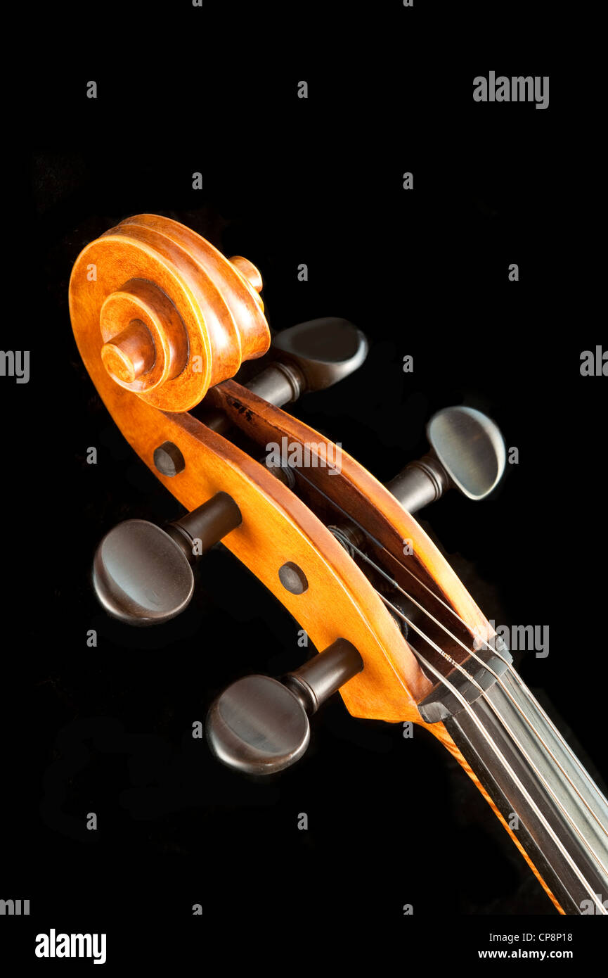 Cutaway Cello Scroll