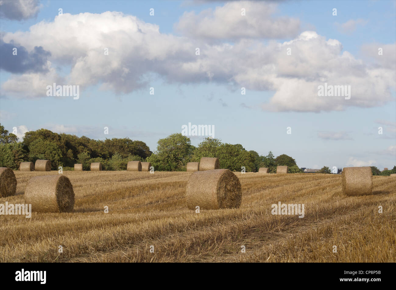 harvested field with bales Stock Photo - Alamy